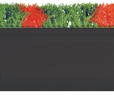 Red/Green Heavy Duty Garnish Divider Black Base — Dalebrook